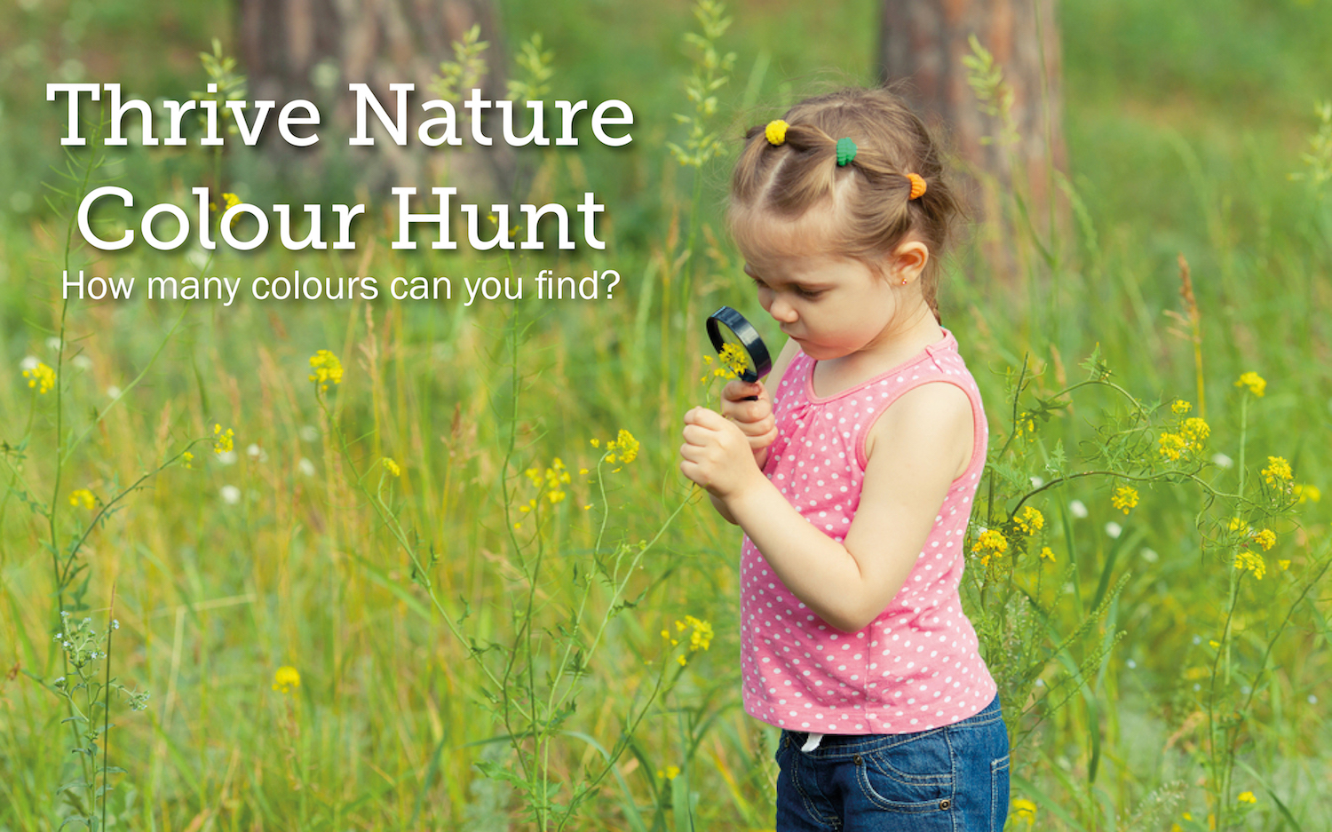 Take Part in our Summer Activity: Free Printable - The Thrive Approach